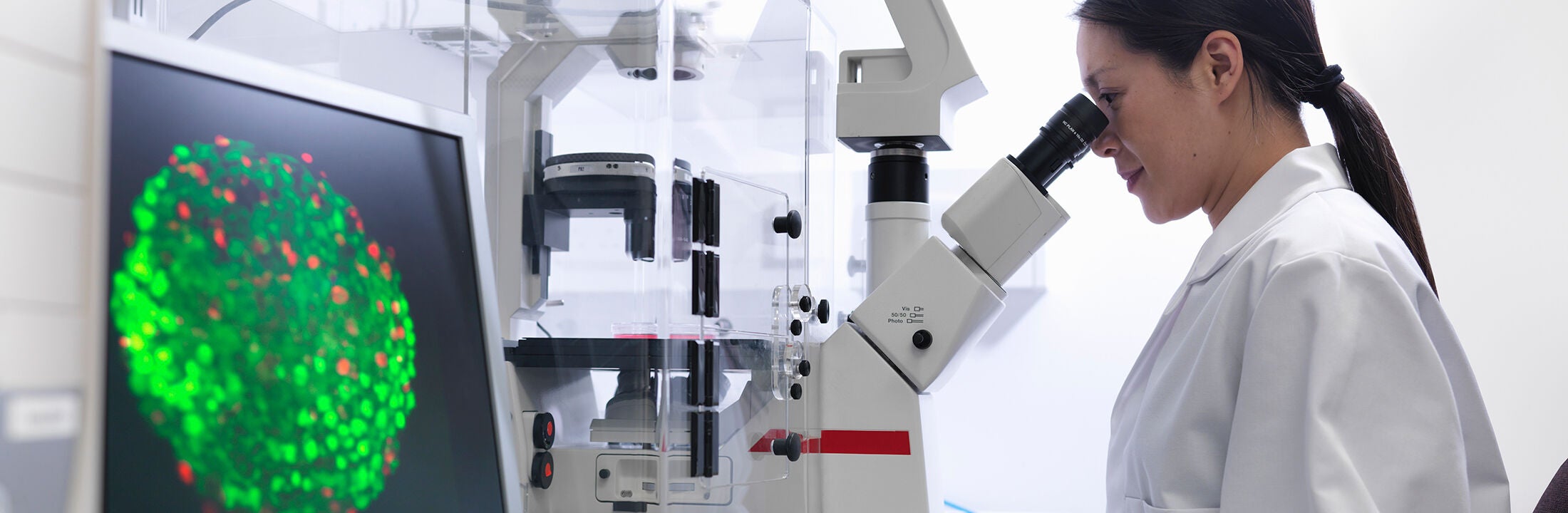 Minor Topics in Biomedical Sciences - Vrije Universiteit Amsterdam